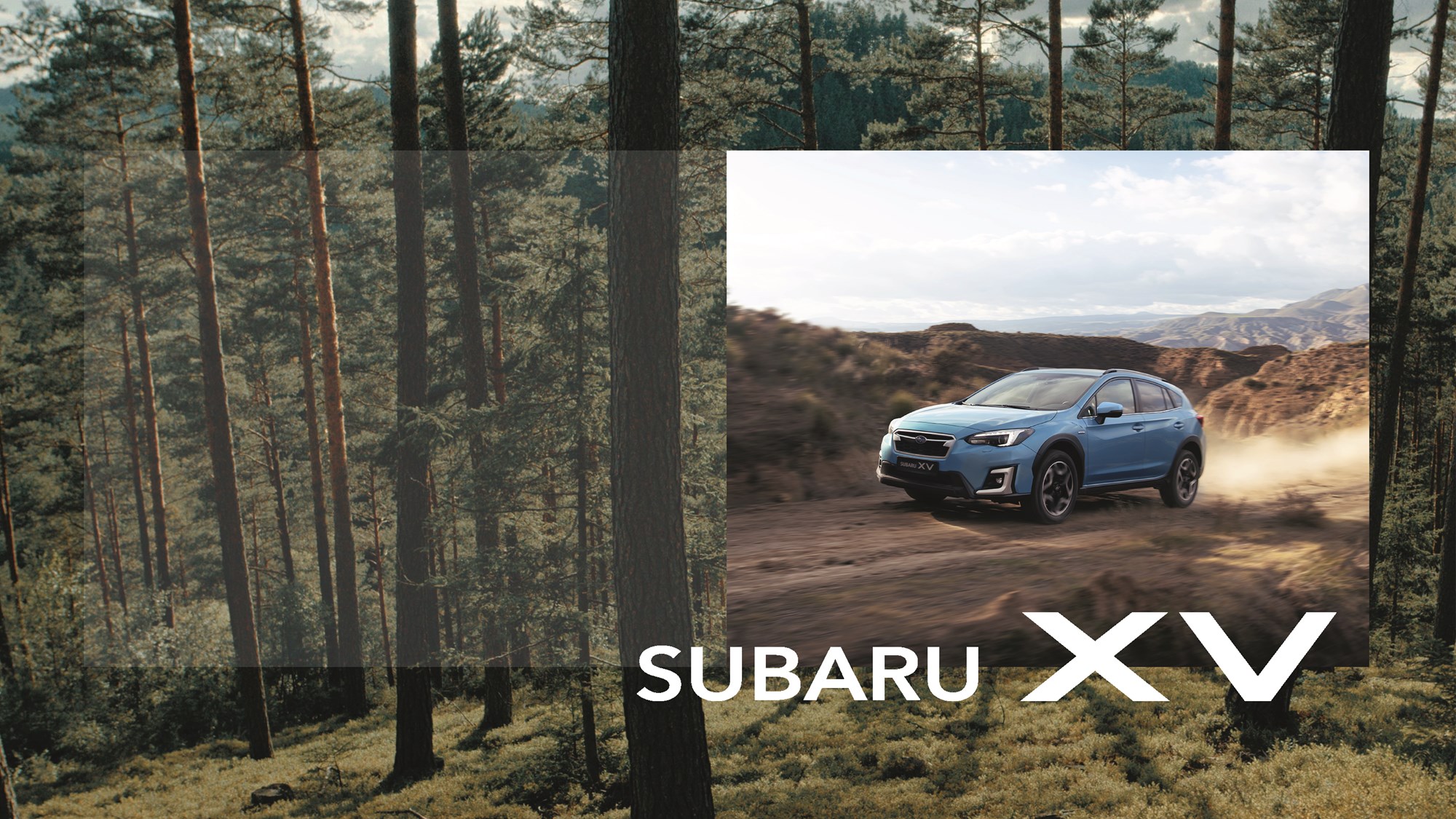 Home - Subaru België